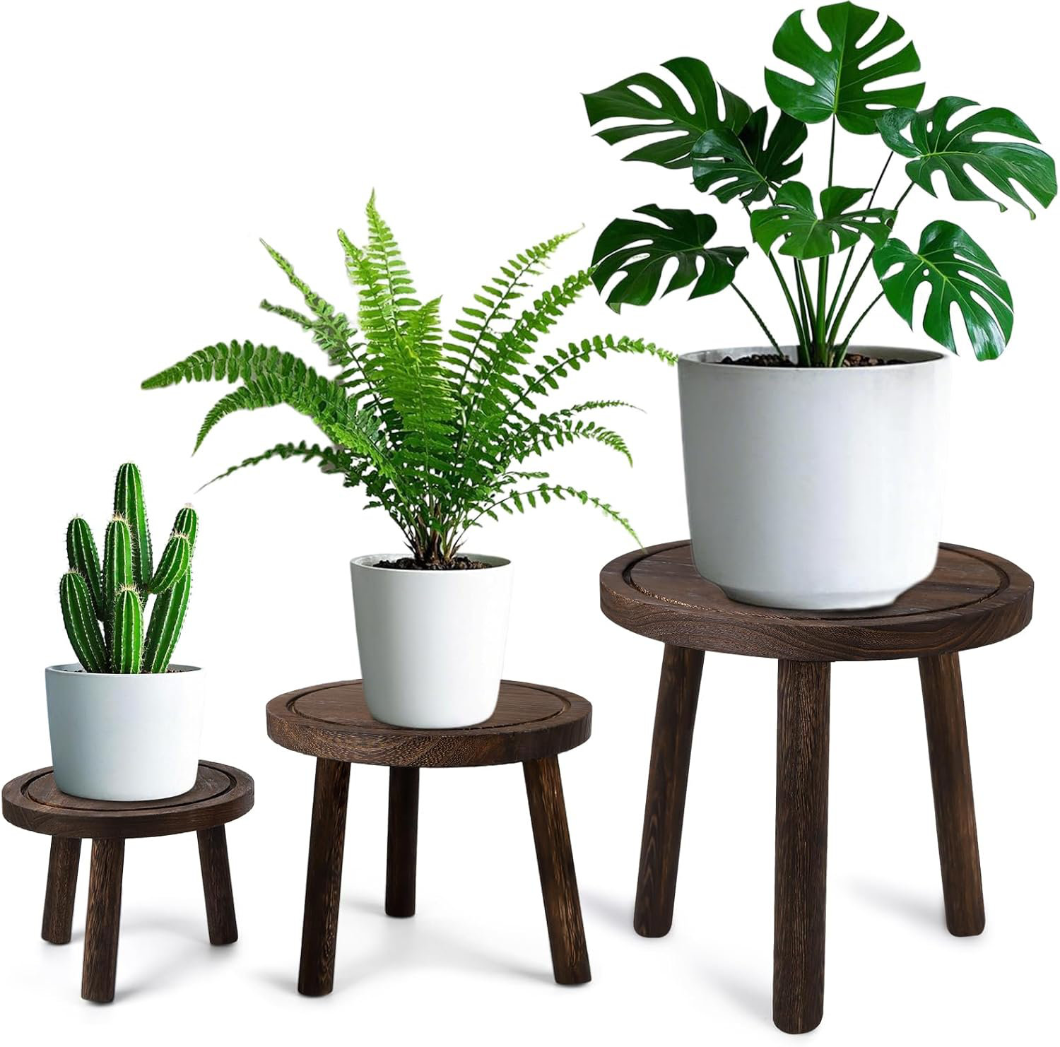 George Oliver 3-Pack Plant Stands Indoor, Single Plant Stand For 6-12 ...