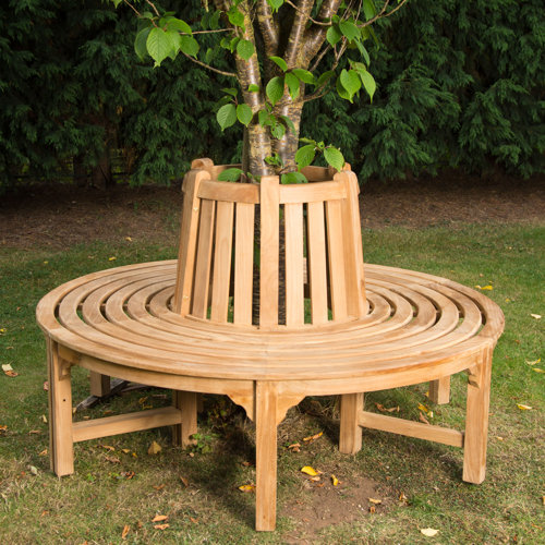 Dakota Fields Lisa Teak Tree Seat | Wayfair.co.uk