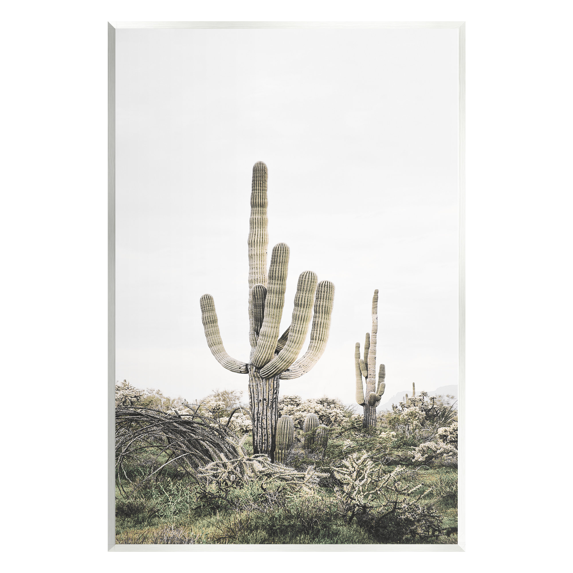 Stupell Industries Ax-206-Wood Desert Landscape Cacti On MDF by Sisi ...
