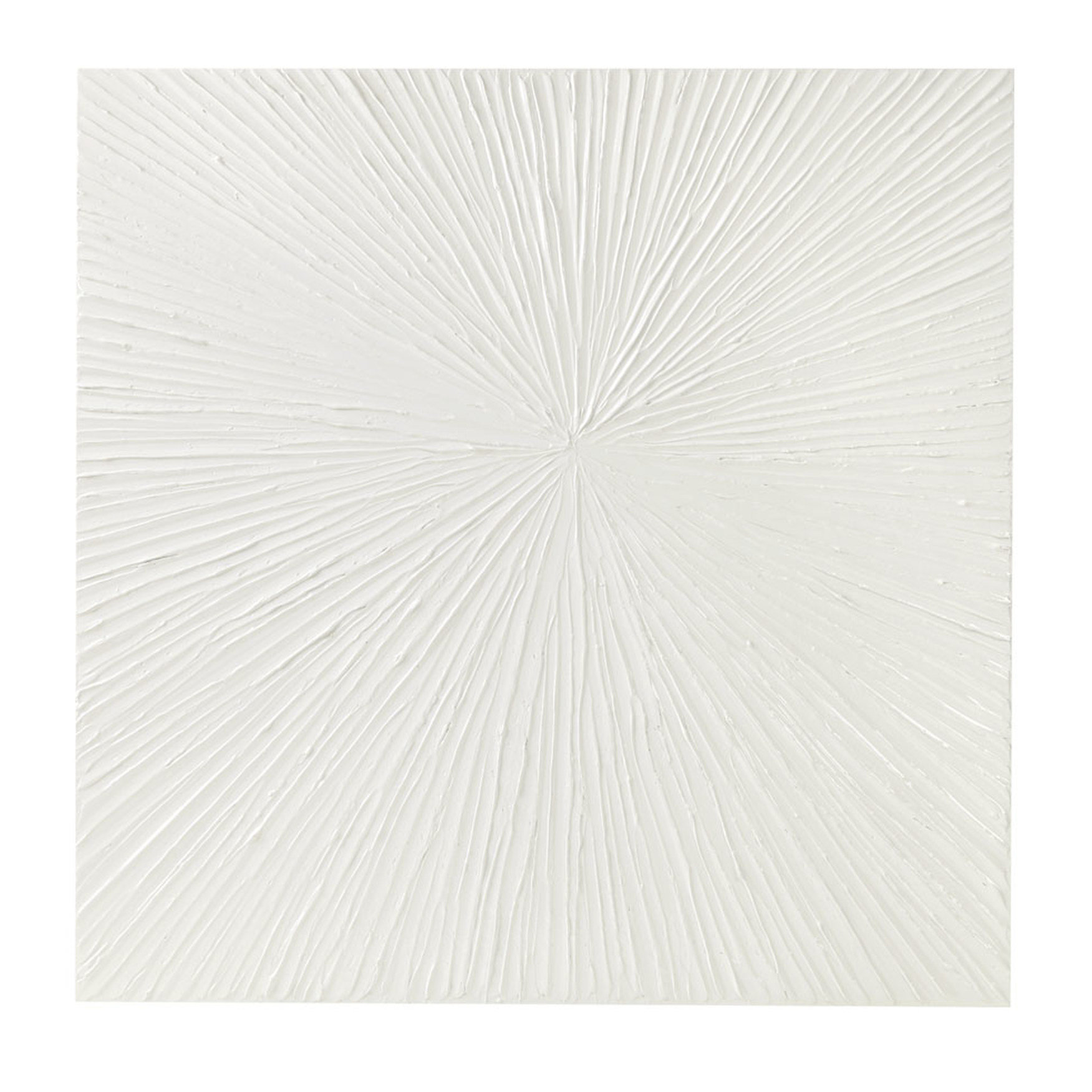 CaneCreations Modern Gloss Wall Ornament - Abstract Resin 30"w Indoor ...