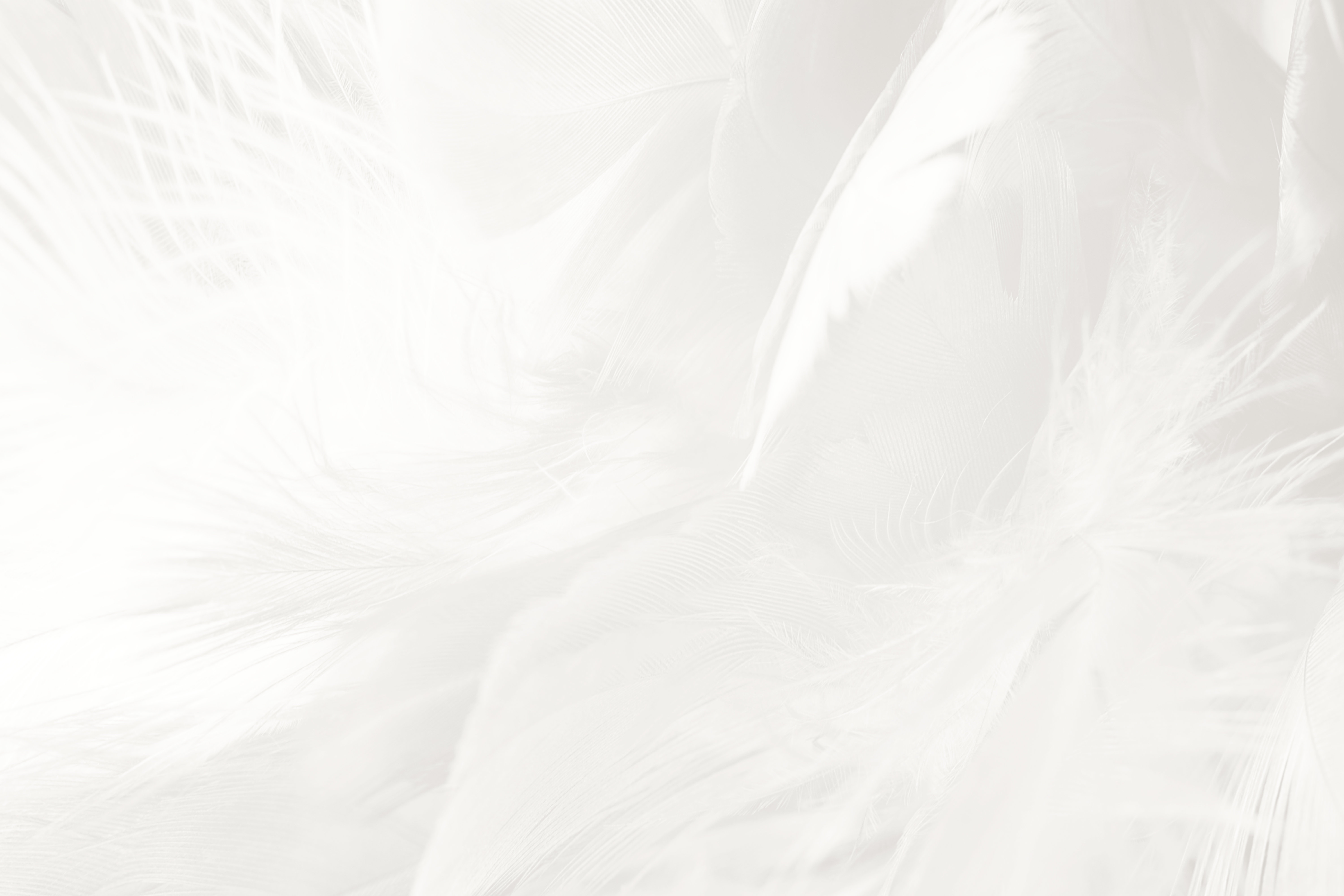 Wrought Studio™ Feather Texture Background by Nadtytok - Wrapped Canvas ...