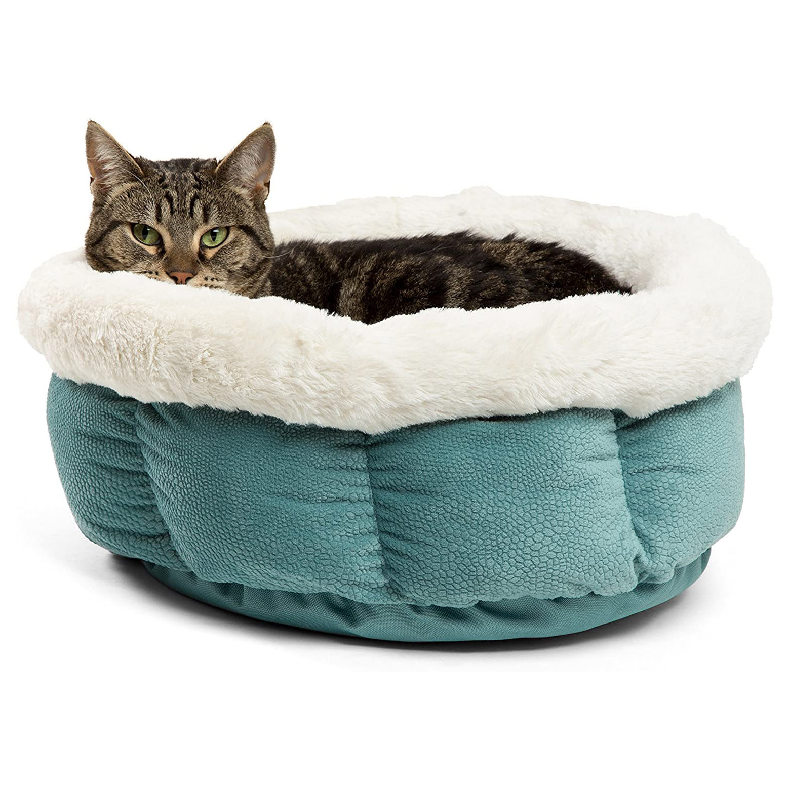 Best Friends By Sheri Ilan Cuddle Cup Plush Round Orthopedic Bolster ...