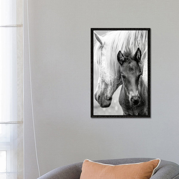 Natur Pur The Foal by Jacky Parker - Floater Frame Gallery-Wrapped ...