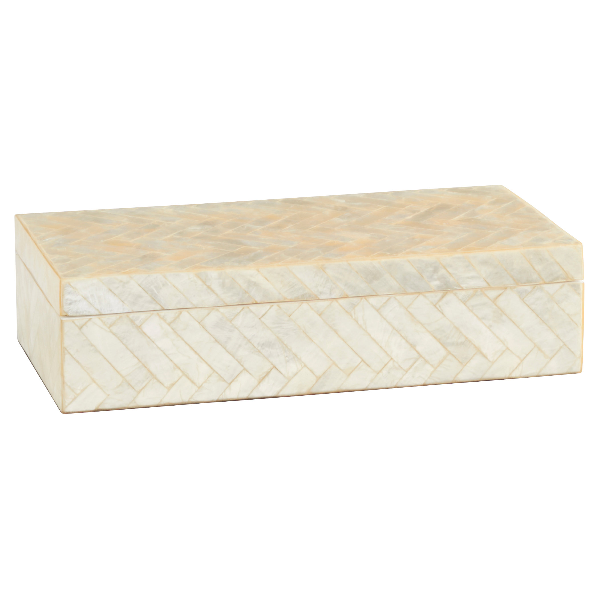 Cyan Design Triton Decorative Box | Wayfair