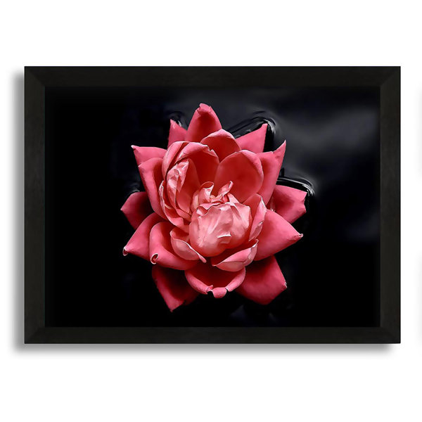 Canora Grey Floating Flower - Print | Wayfair.co.uk