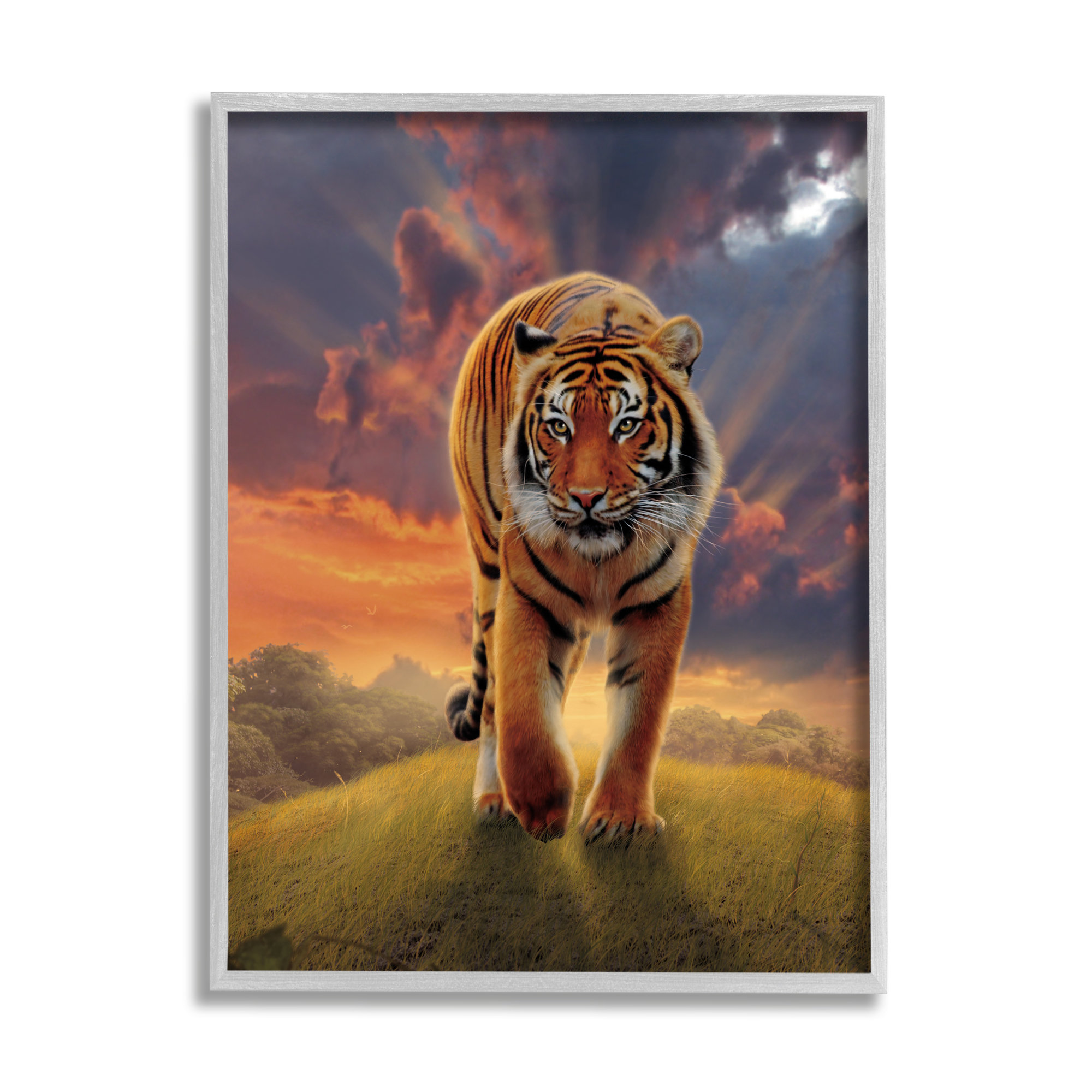 Stupell Industries Az-220-Framed Rising Tiger Sunset by Vincent Hie ...