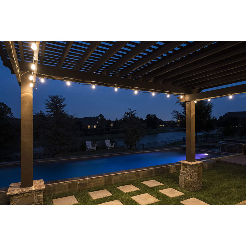 Arlmont & Co. Enbrighten 48-ft Outdoor LED Bistro Lights | Wayfair