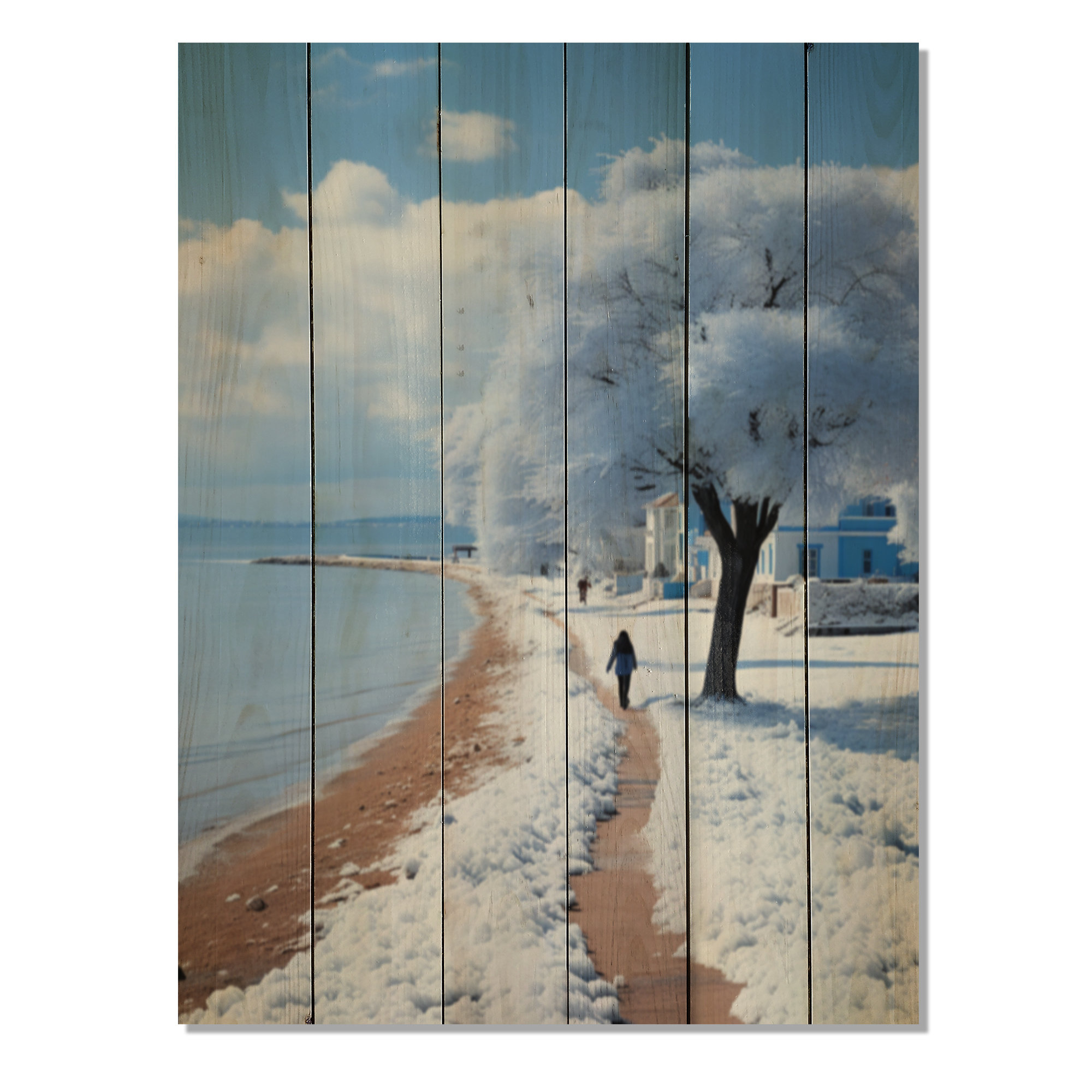 Dovecove Coastal Seaside Stroll II On Wood Print | Wayfair