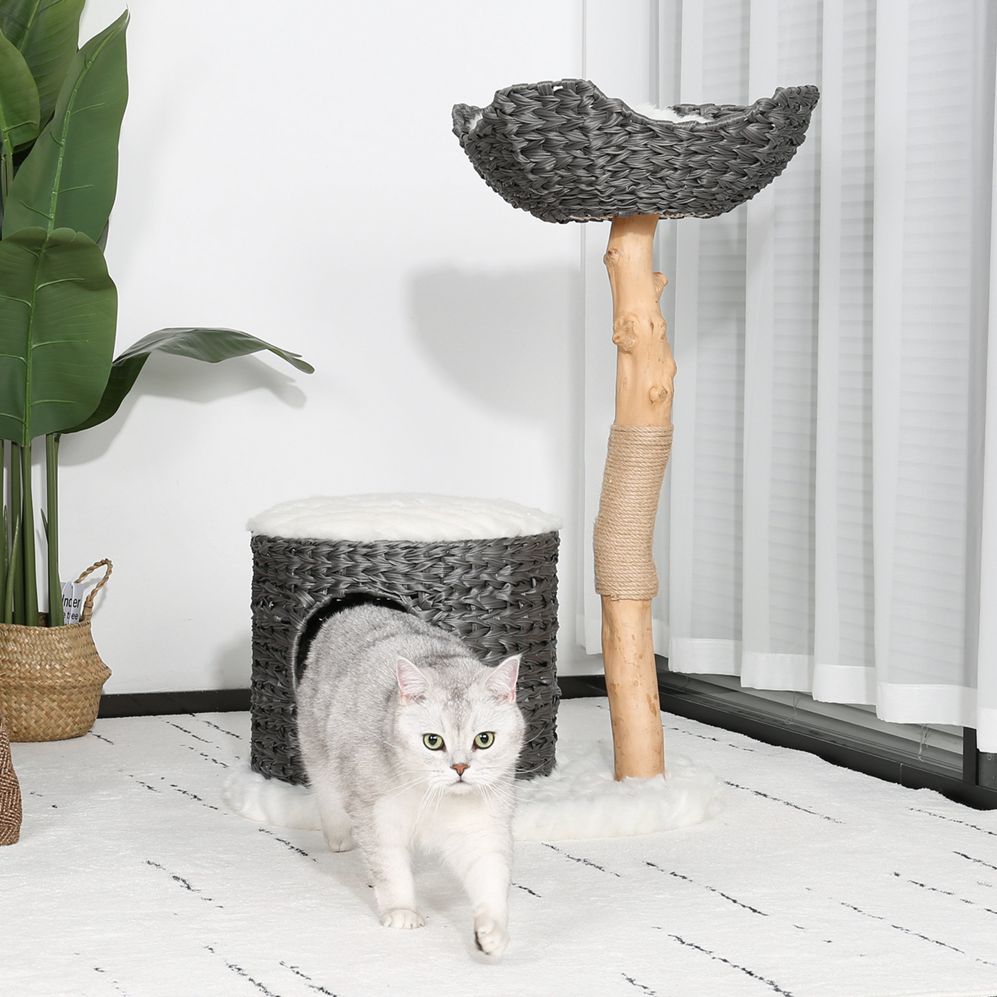 Tucker Murphy Pet™ Dyna 35'' H Solid Wood Cat Tree with Hand-Woven ...
