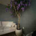 Primrue Adcock 8ft Artificial Flower Tree with 18in White Planter, Tall ...