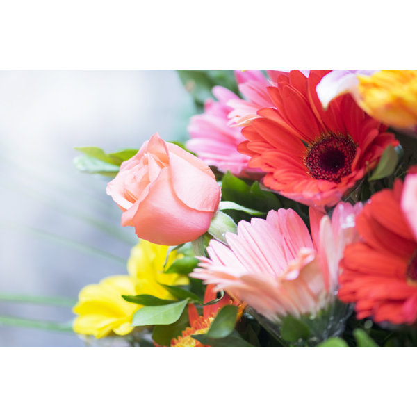 17 Stories Bunte Blumen Hintergrund von ISMODE - Drucken | Wayfair.de