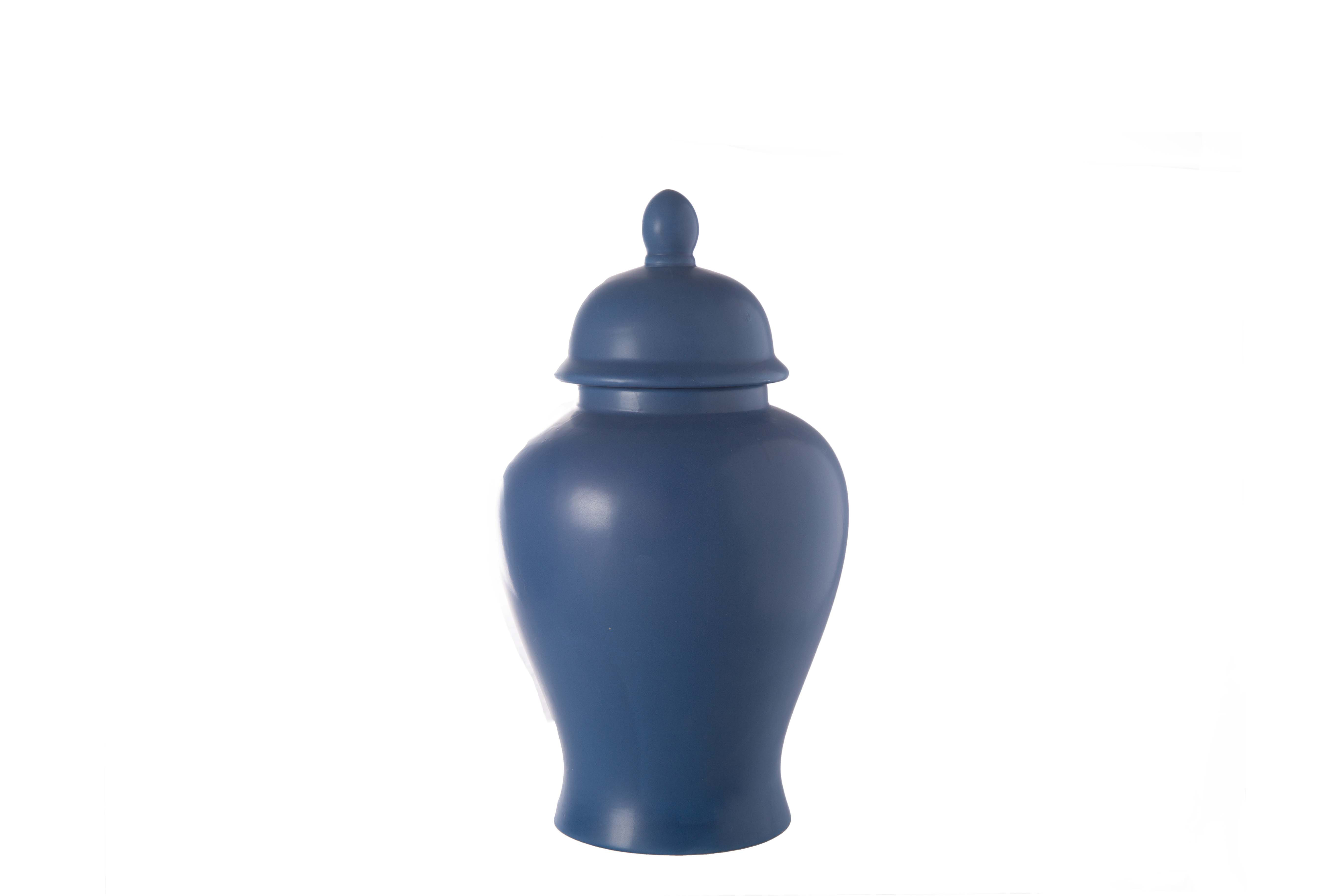 Lark Manor™ Ceramic Round Ginger/temple Jar Matte Finish Blue | Wayfair