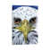 Union Rustic Eagle Eyes by Kim Winberry - Wrapped Canvas Painting ...