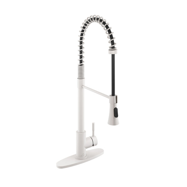 CASAINC Spring Pull Down Sprayer Kitchen Faucet with Dual-Function ...
