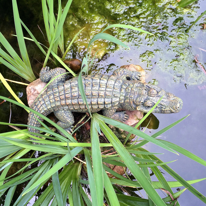 HomeStyles Life's A Beach Alligator Garden Statue & Reviews | Wayfair