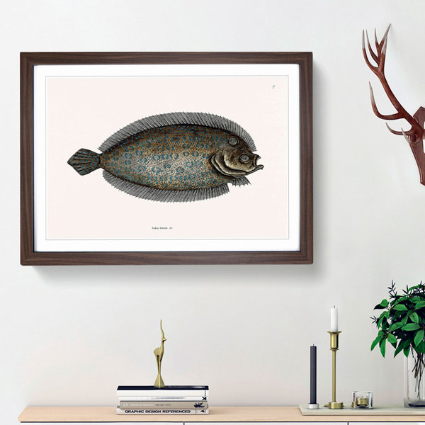 East Urban Home Sole Fish by Mark Catesby - Picture Frame Painting ...