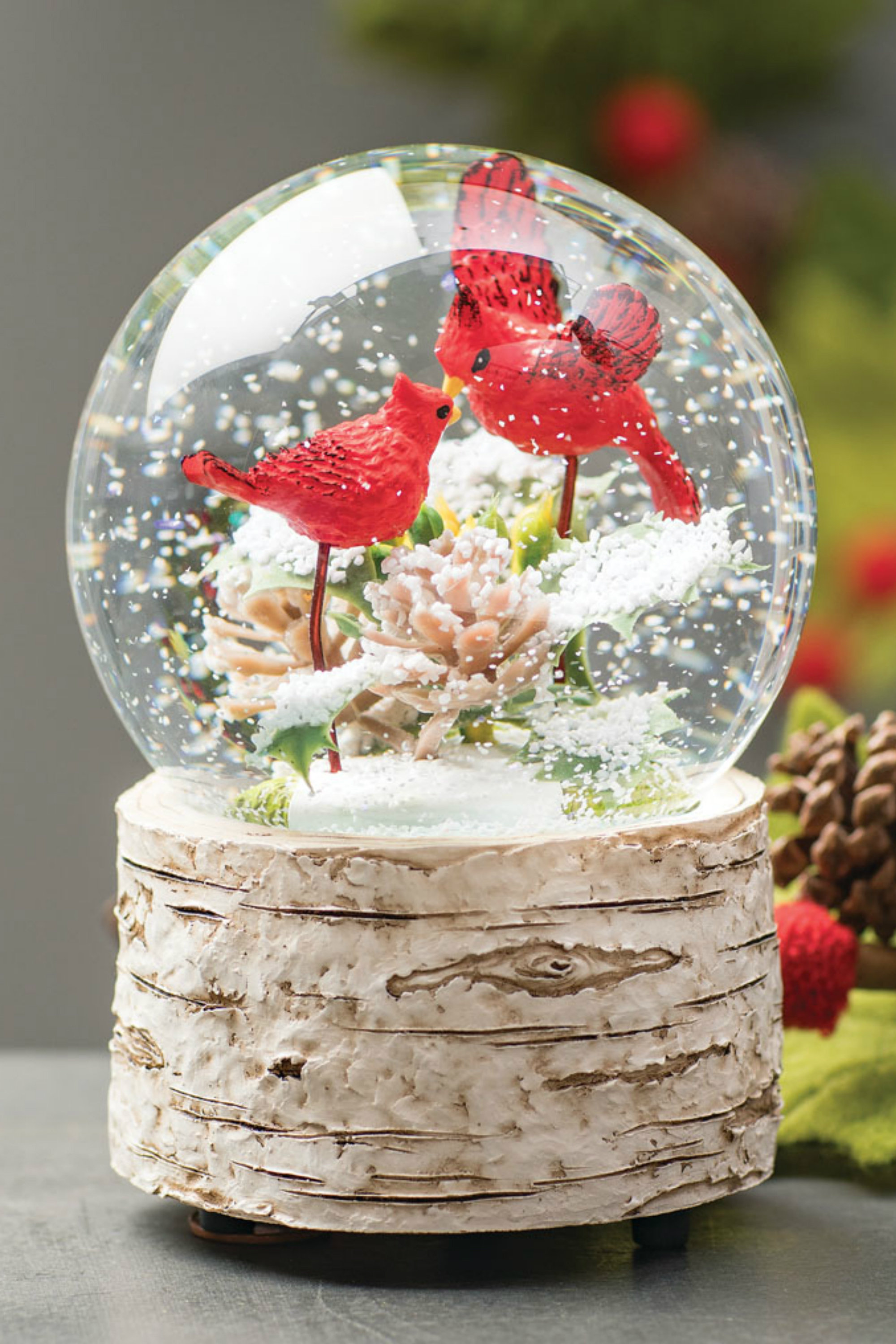 The Twillery Co. Cardinal Musical Waterglobe & Reviews - Wayfair Canada