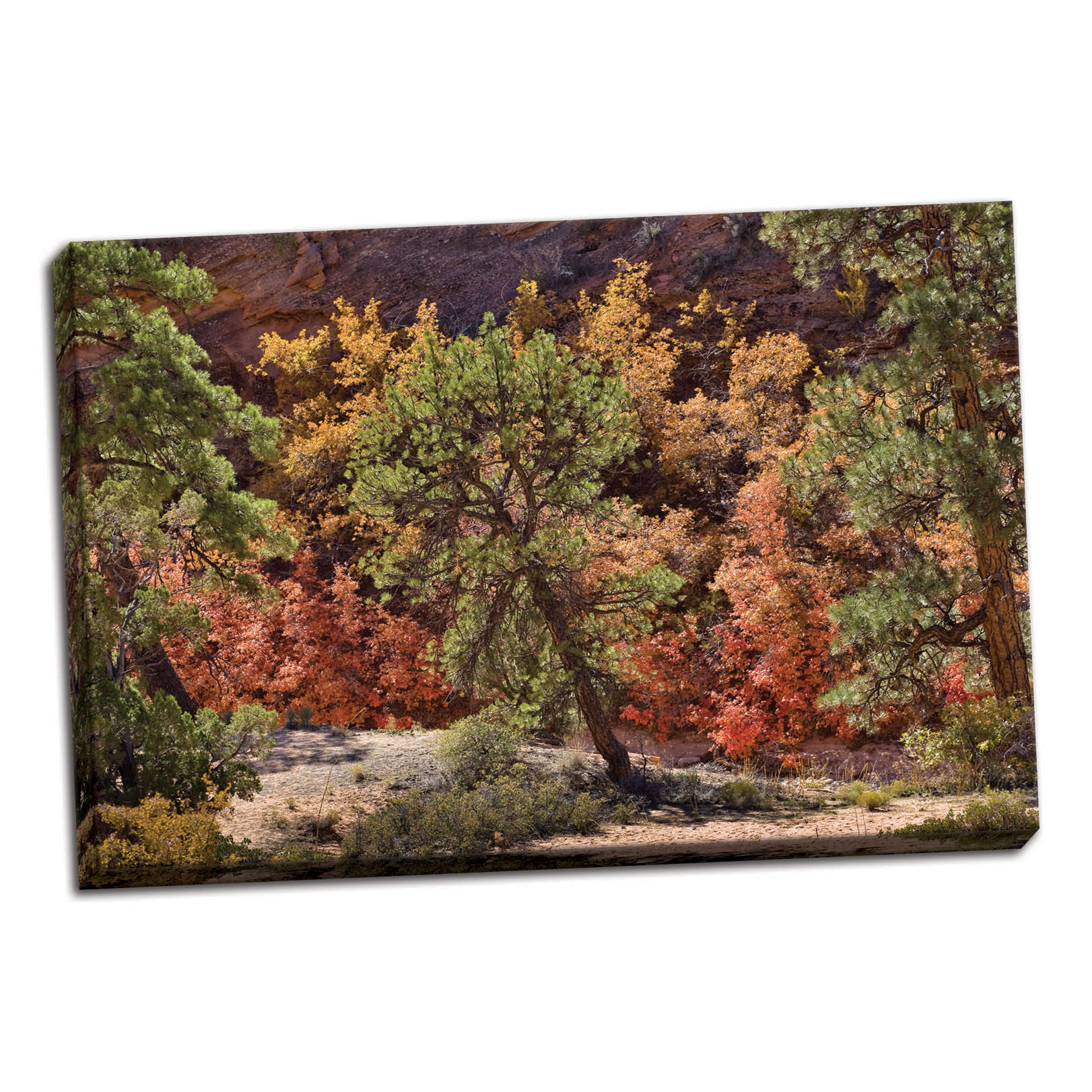 Millwood Pines 'Fall Leaves 5' Photographic Print on Wrapped Canvas ...