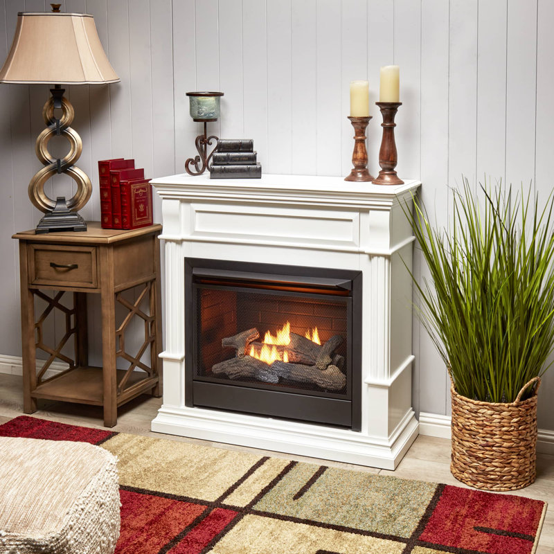 Darby Home Co Duluth Forge Dual Fuel Ventless Gas Fireplace With Mantel ...