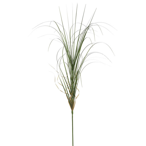 Wegman 6 Piece Curled Agave Grass & Reviews | Birch Lane
