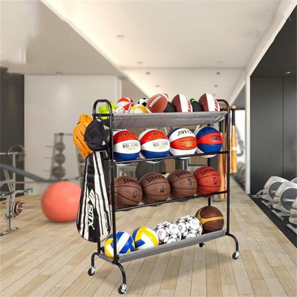 Rebrilliant 4-Layer Ball Rack Rolling Balls Organizer | Wayfair