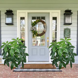 Ebern Designs 2 pack Large Fake Money Tree Plant Indoor Potted Plants ...