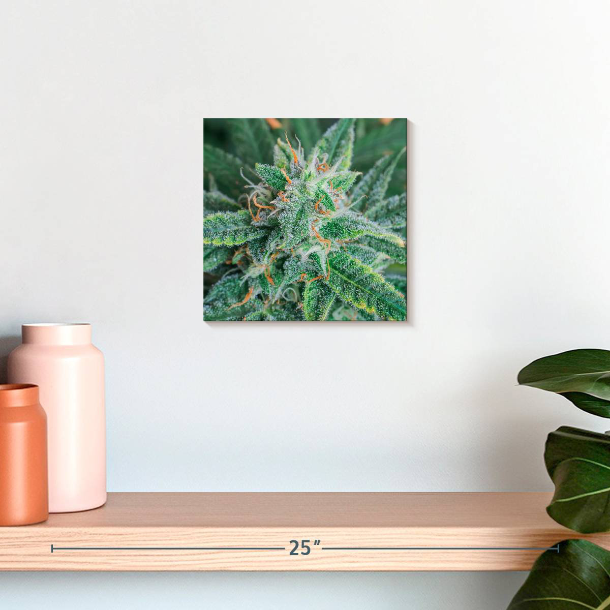 Elephant Stock Cannabis Blossom | Wayfair