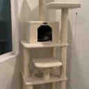 Armarkat 78" Premium Classic Real Wood Jackson Galaxy Approved Cat Tree ...
