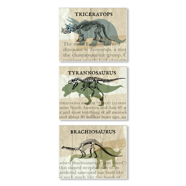 Trinx " Textbook Style Dinosaur Skeletons Informational Text " by ...
