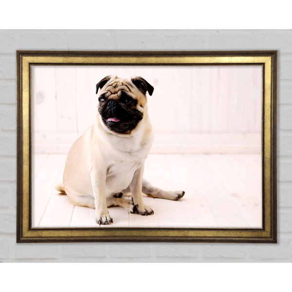 Ebern Designs Pug Dog - Single Picture Frame Print | Wayfair.co.uk