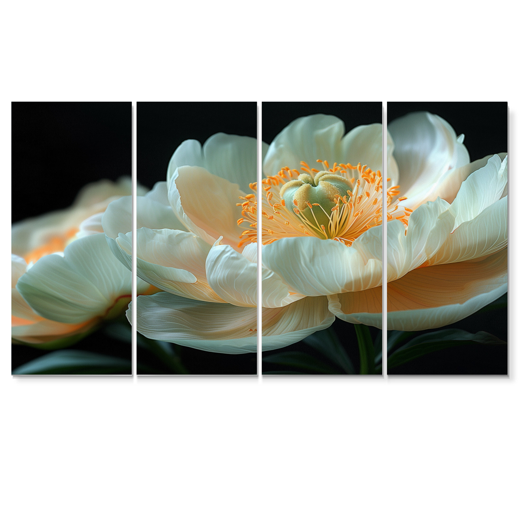 Design Art White Black Crystal Peonies Beauty II - Peonies Wall Decor ...