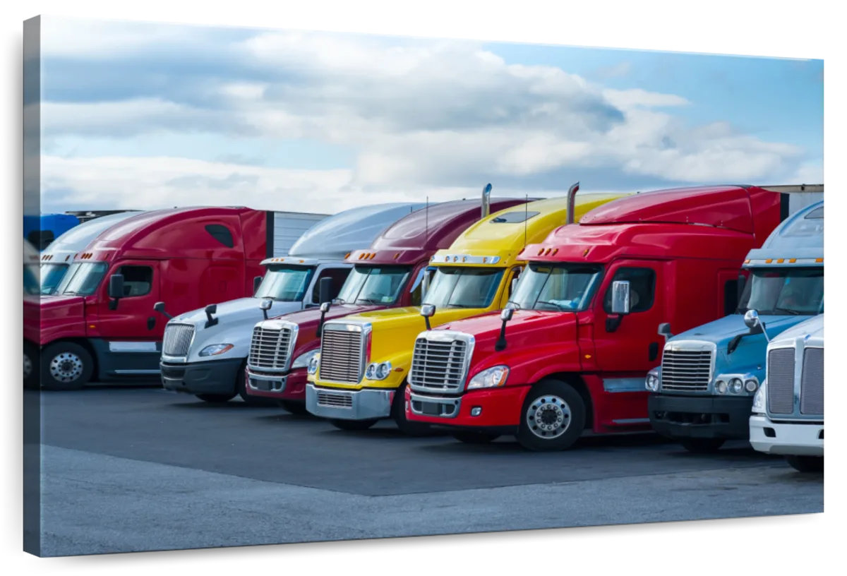 Elephant Stock Trailer Truck Fleet | Wayfair