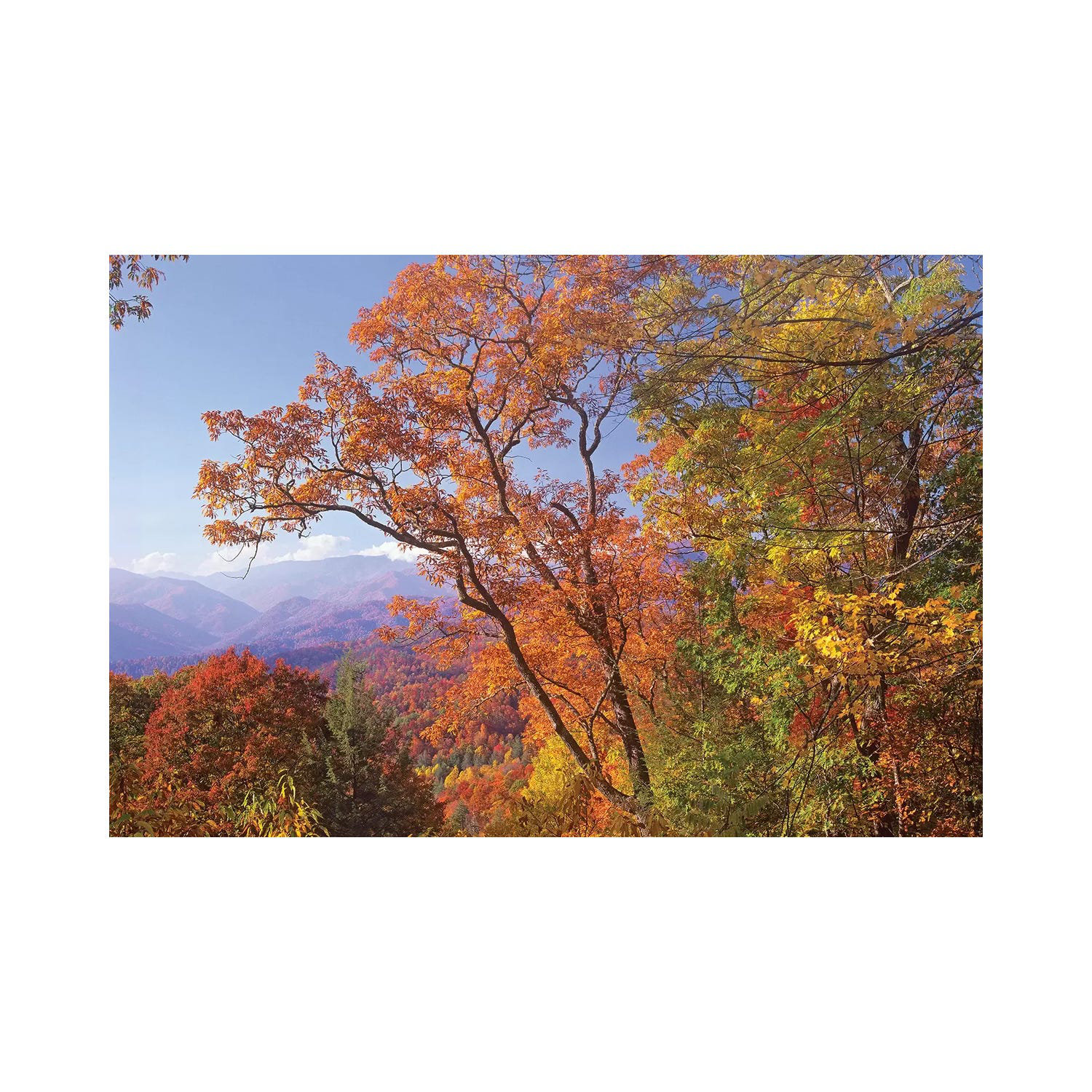 Latitude Run Great Smoky Mountains from, Blue Ridge Parkway, North ...