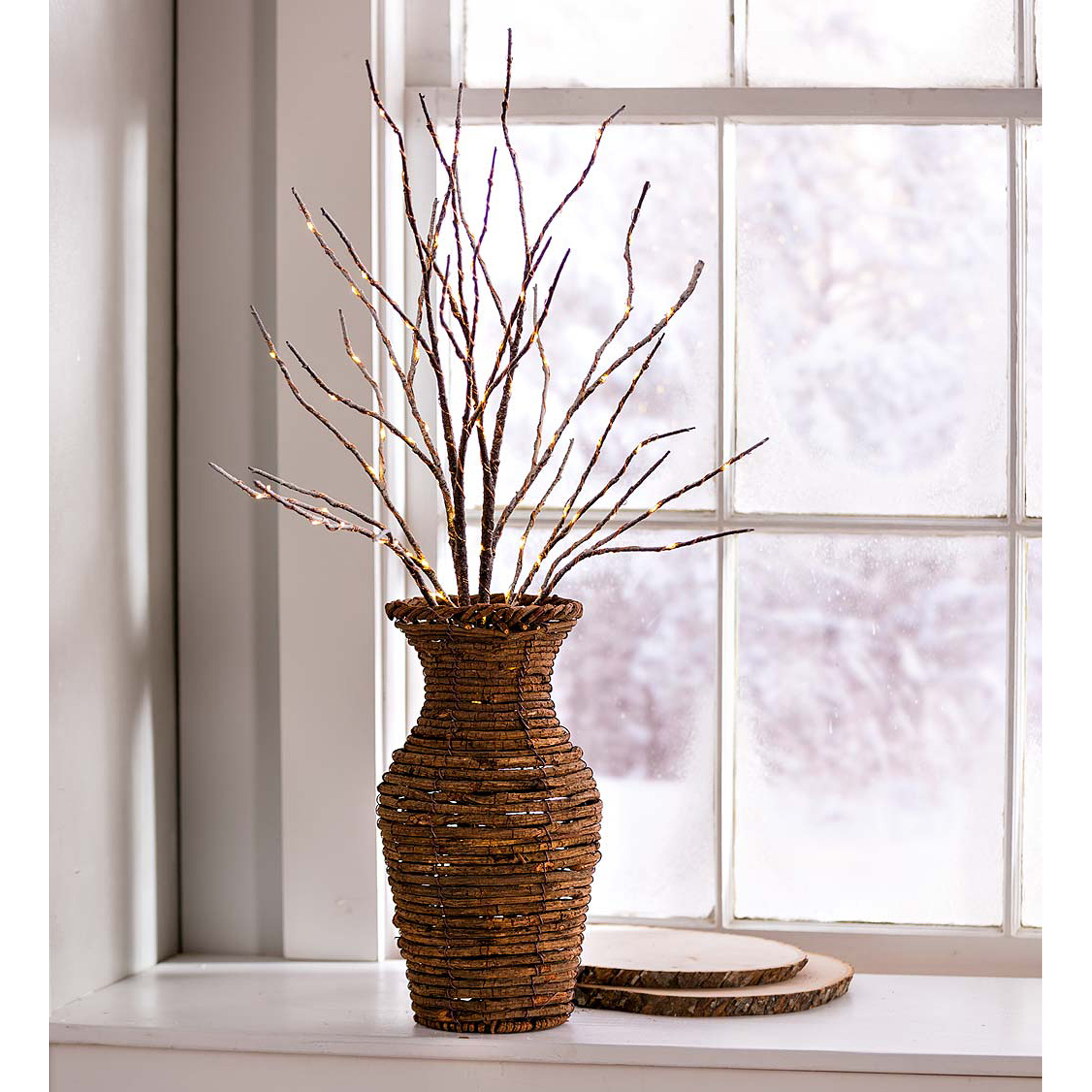 Plow & Hearth Birch 50 Light Battery Lighted Trees & Branches & Reviews ...