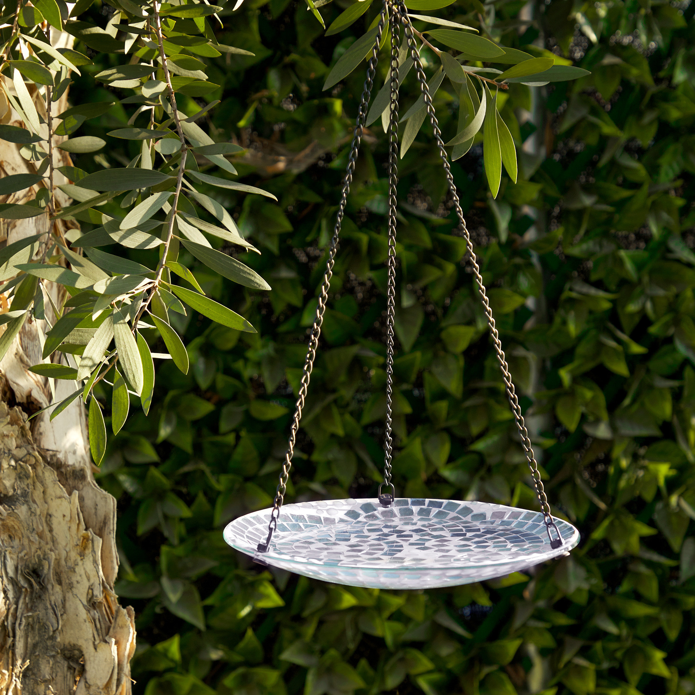 Lark Manor™ Aliyah-Lilly Birdbath & Reviews | Wayfair