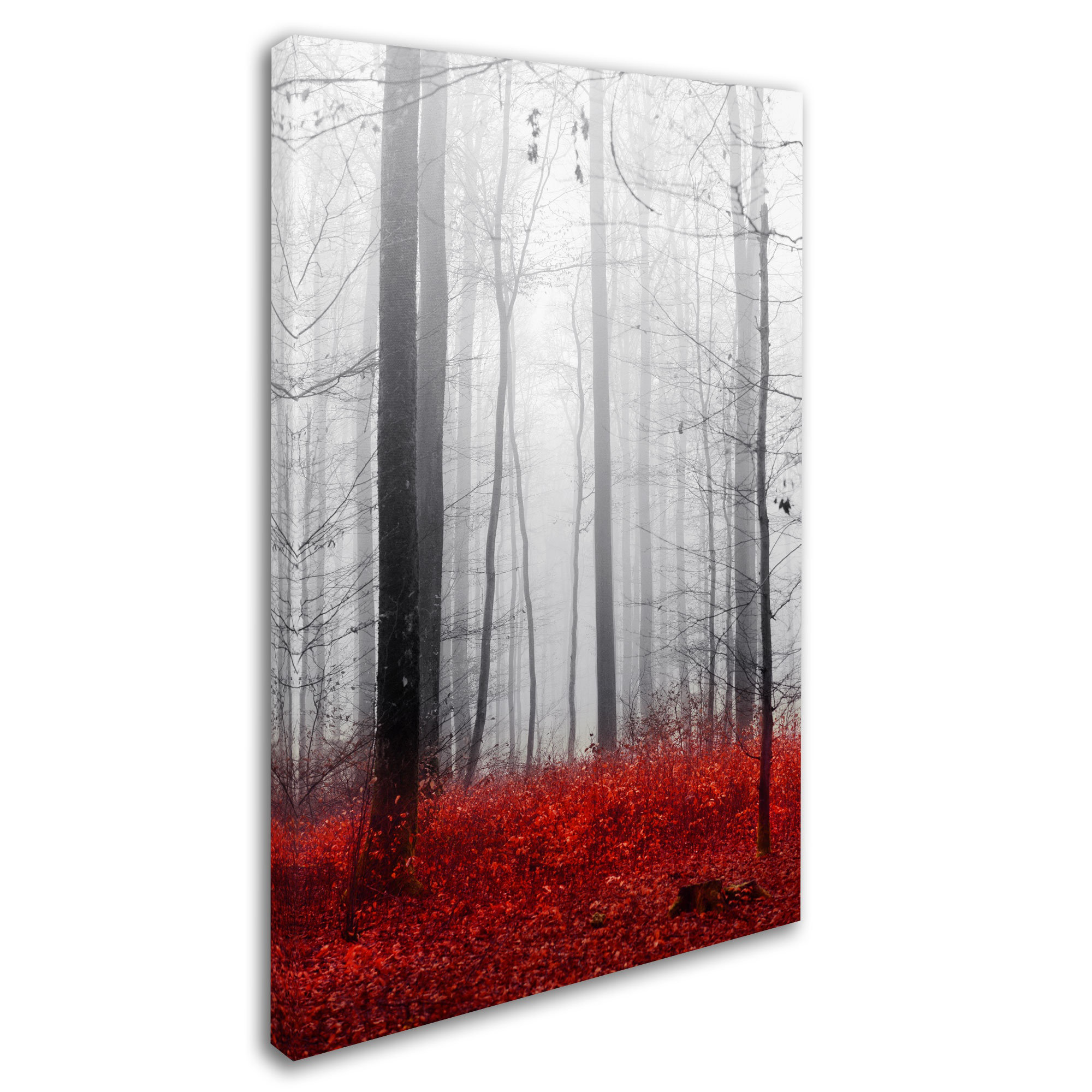 Union Rustic Little Red Carpet Photographic Print on Wrapped Canvas ...