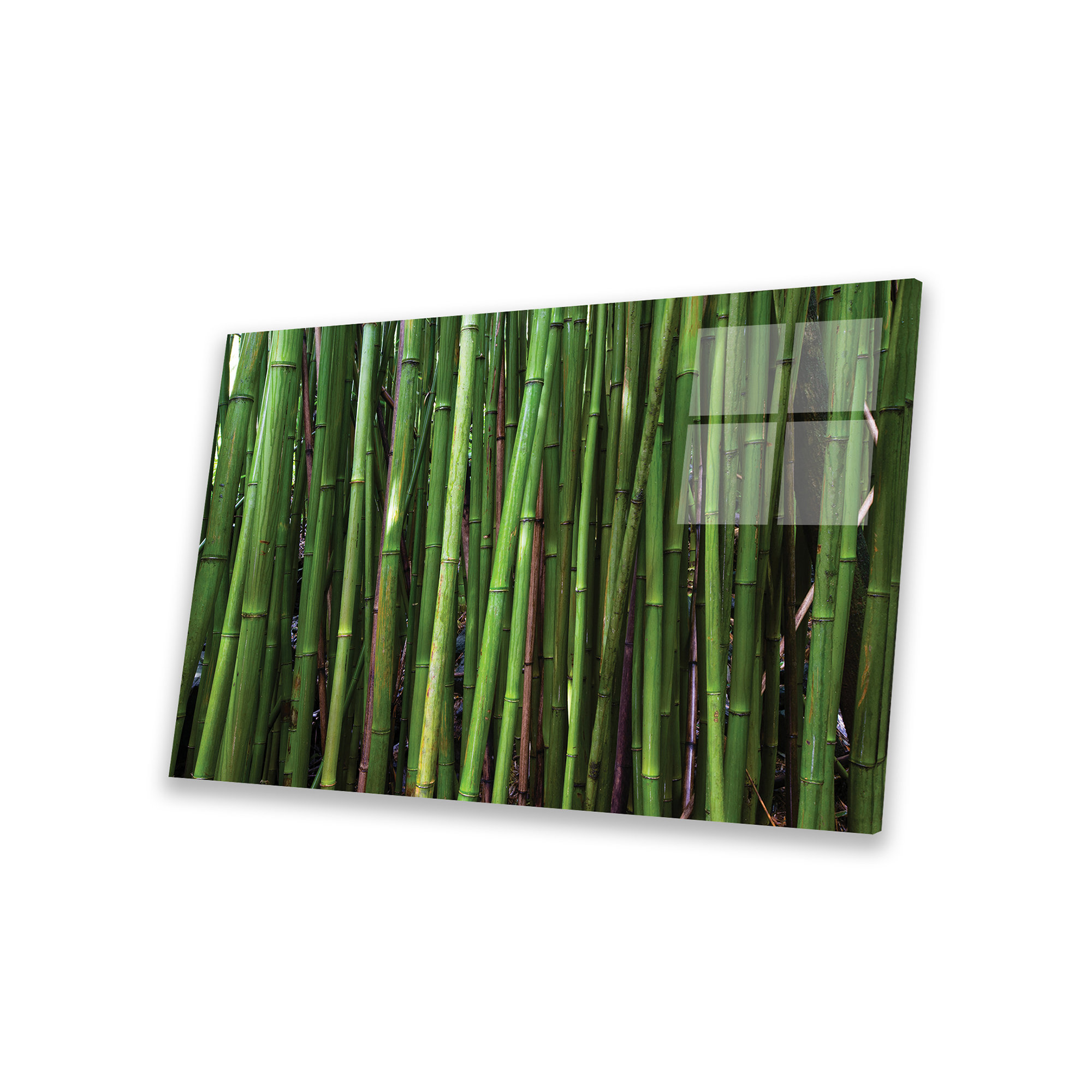 Ebern Designs Bamboo Trees, Maui, Hawaii, USA II On Plastic / Acrylic ...