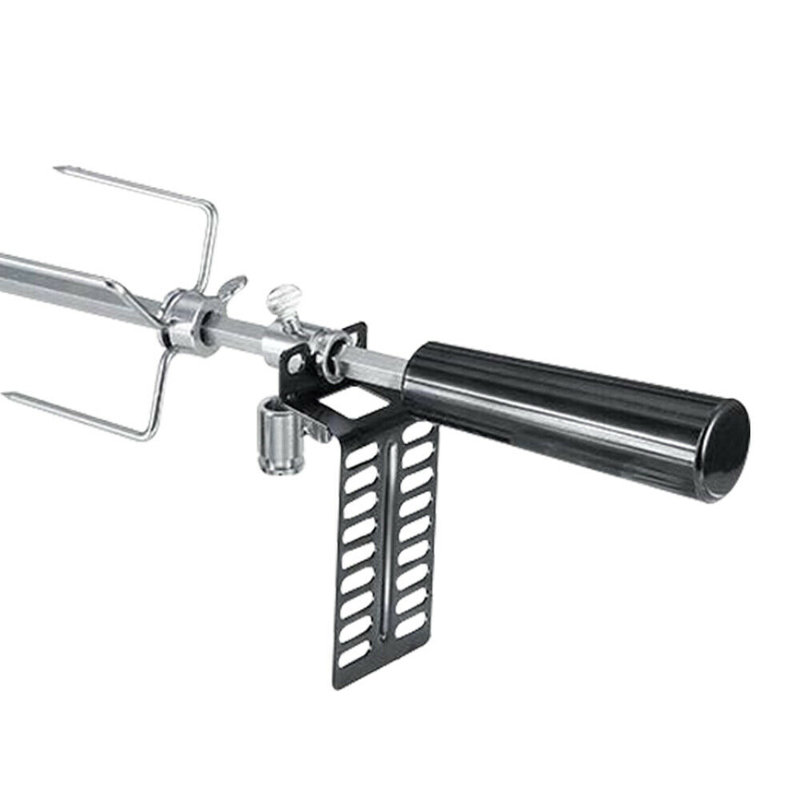 DALELEE BBQ Rotisserie Kits Grill Spit Roaster Charcoal Pig Chicken ...