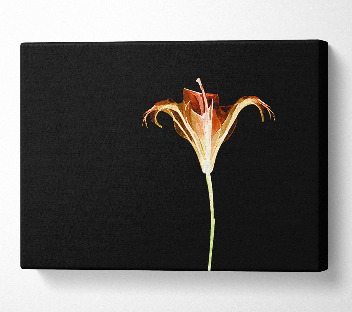 Latitude Run X-Ray Orange - Wrapped Canvas Art Prints | Wayfair.co.uk