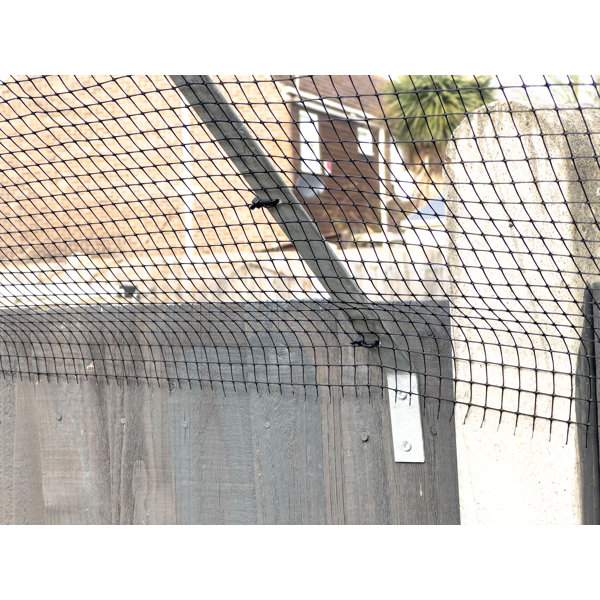 Dakota Fields Regine Cat Proofing Catio Fencing Cat Outdoor Proofing ...