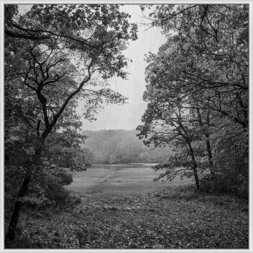 Wendover Art Group Lillian August Nature Preserve Framed On Metal by ...