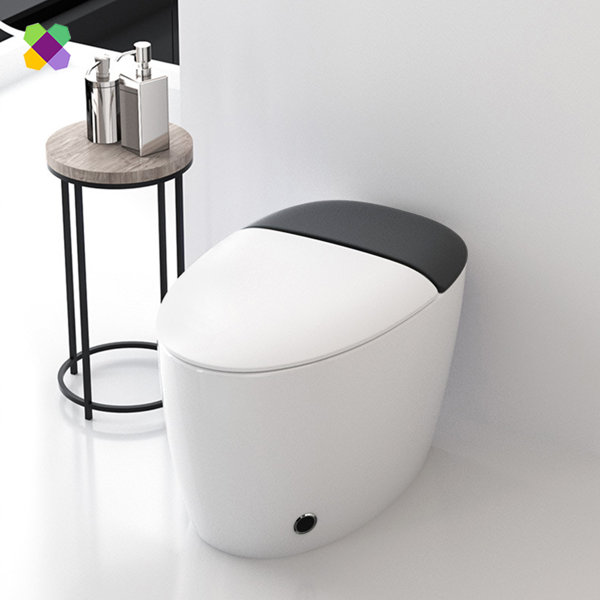 Midewhik Elongated Water-Saving One-Piece Toilet - Battery-Powered ...