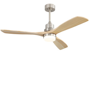 Ceiling Fans You'll Love | Wayfair