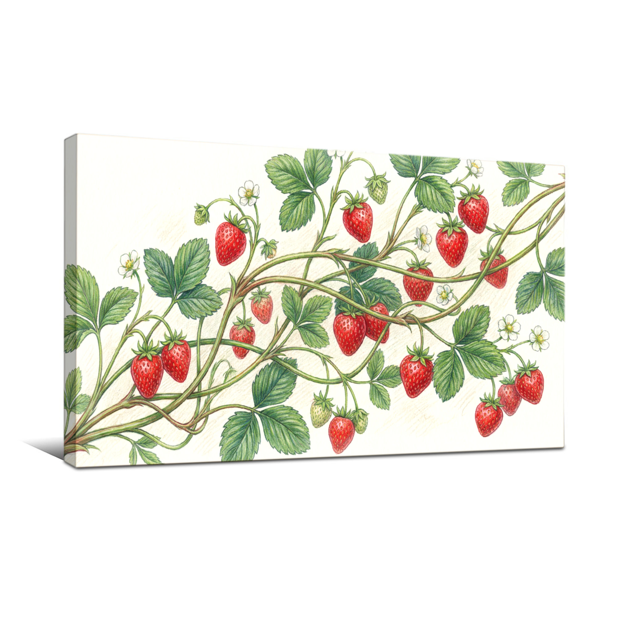 Canora Grey Plants &Flowers Strawberry Vine With Leaves And Flowers ...