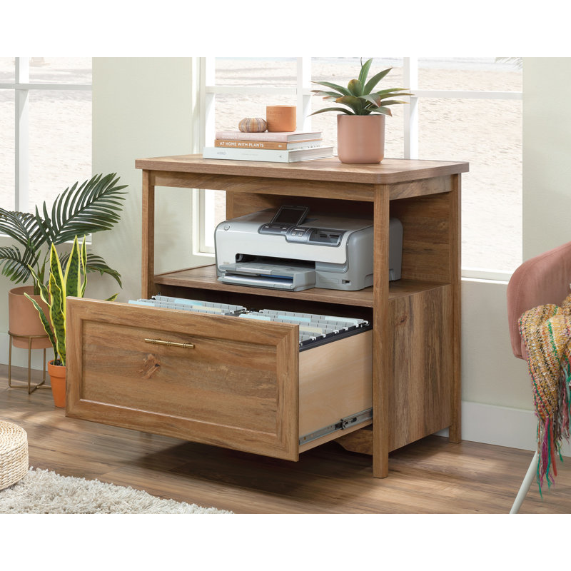 Lark Manor™ Darrian 1-Drawer Lateral Filing Cabinet & Reviews | Wayfair
