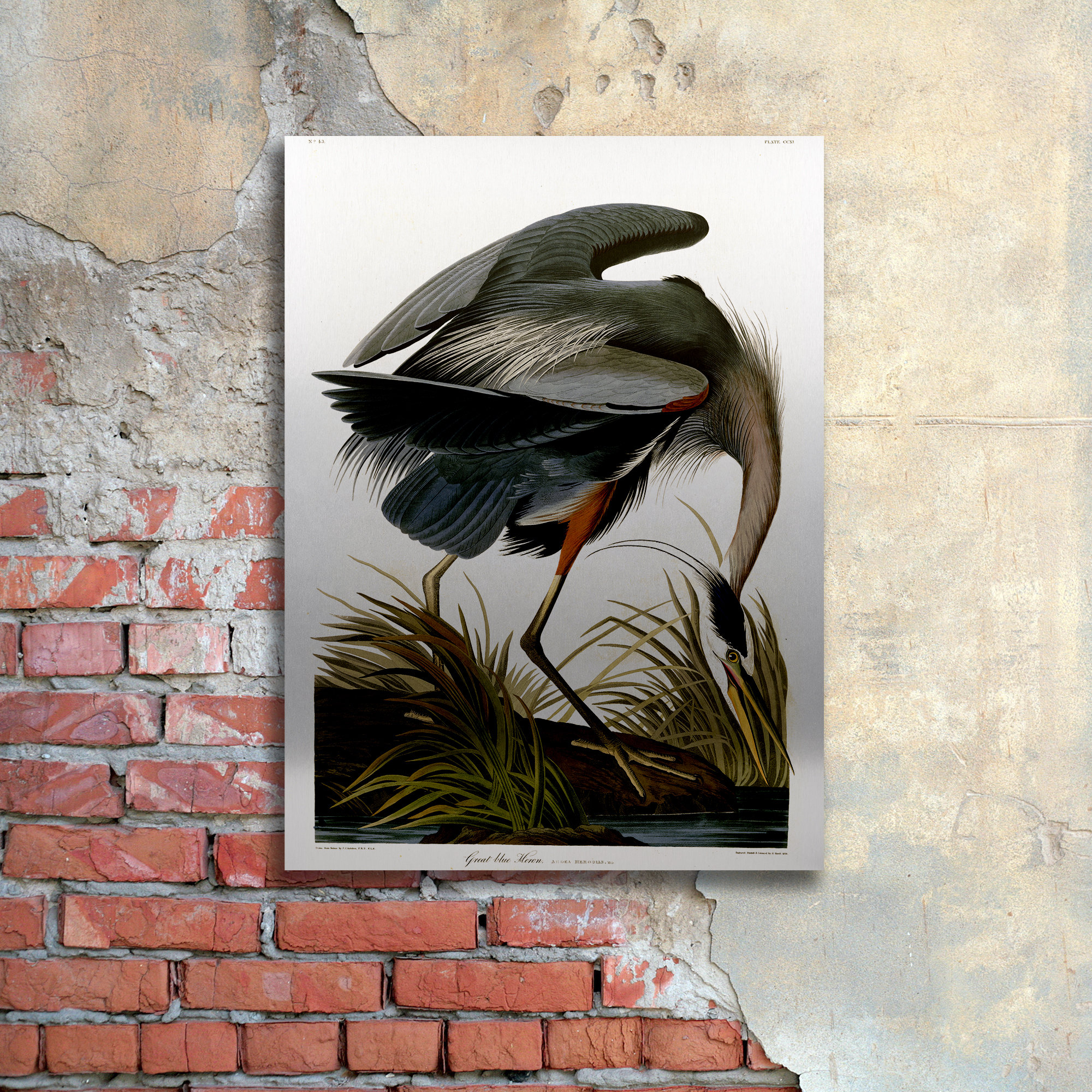 Trademark Fine Art 'Great Blue Heron' by John James Audubon Graphic Art ...