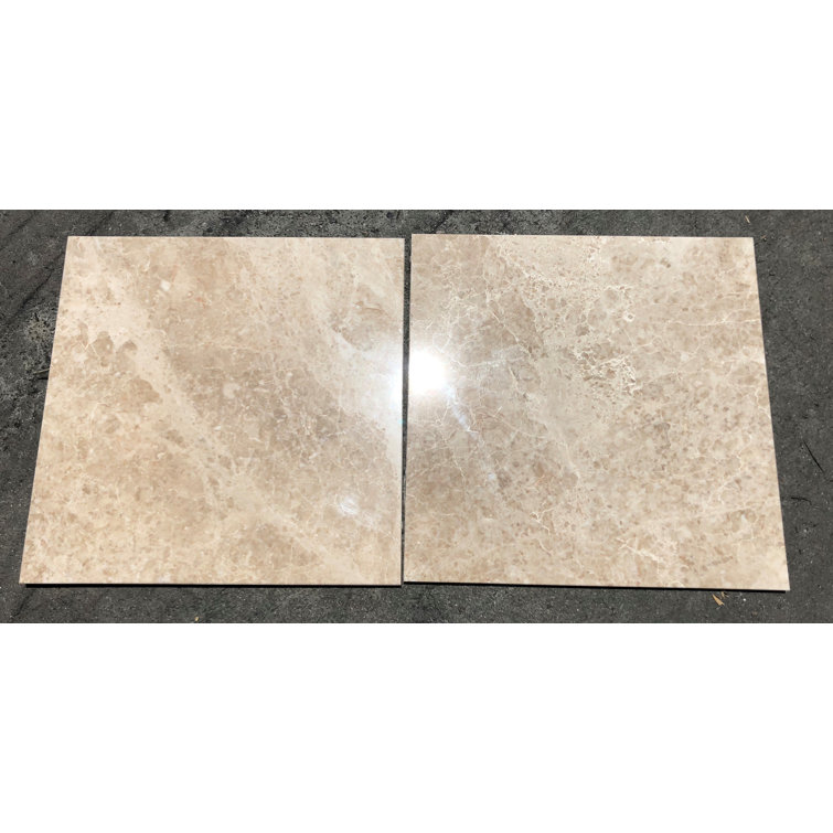 Stone & Tile Shoppe, Inc. 24" x 24" Marble Marble Look Wall & Floor ...