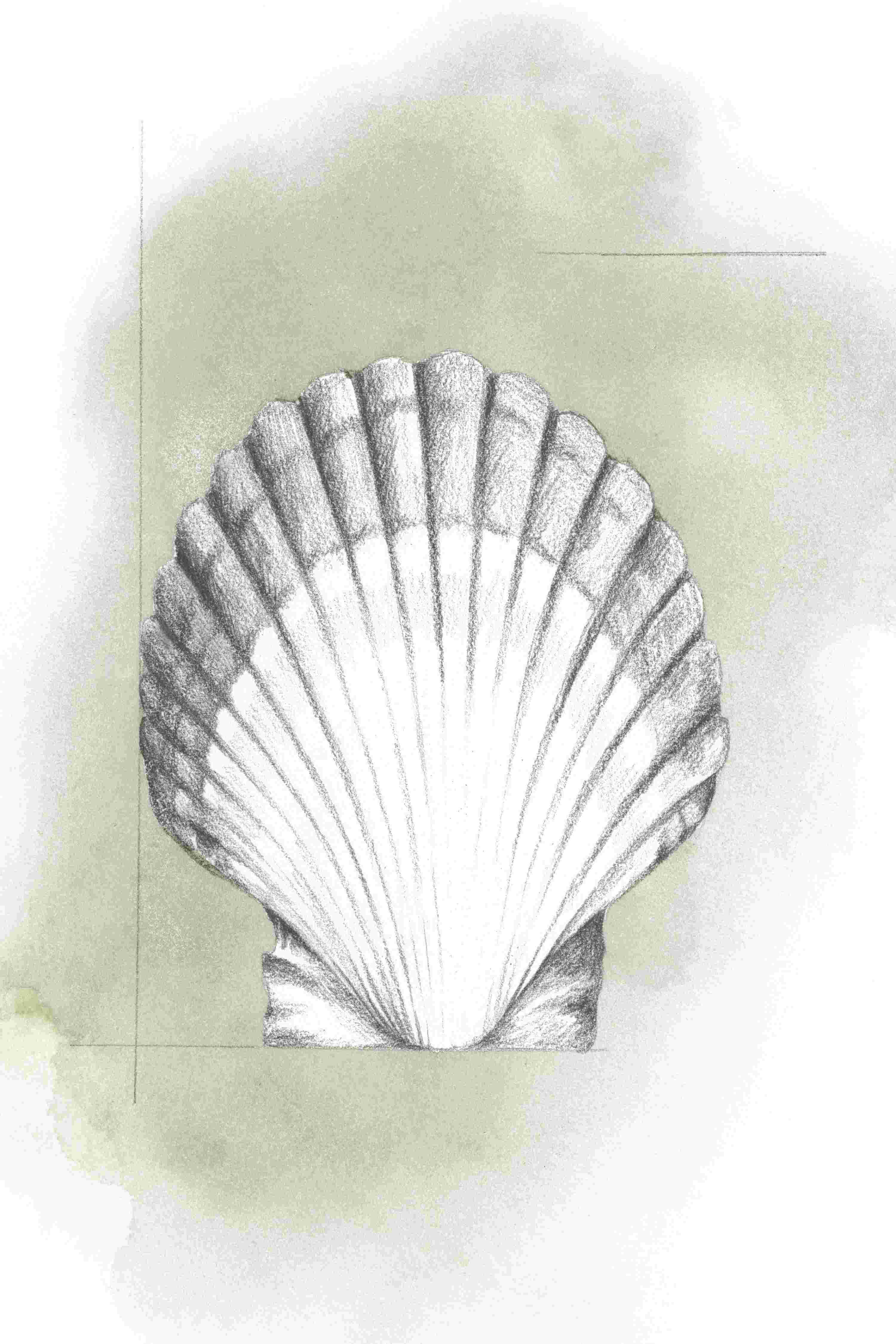 Rosecliff Heights Shell Diagram II | Wayfair