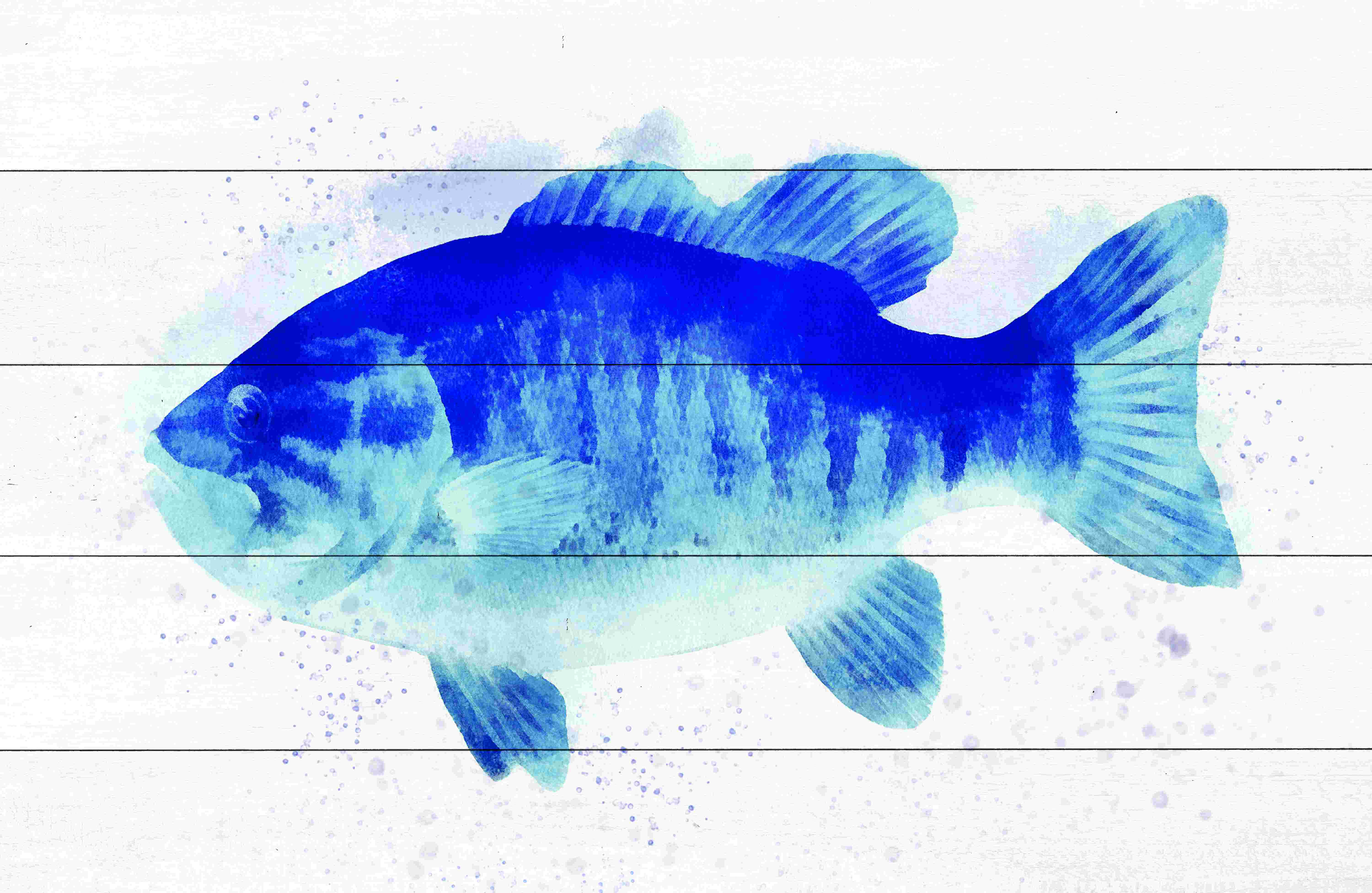 Highland Dunes " Blue Fish Shiplap " | Wayfair