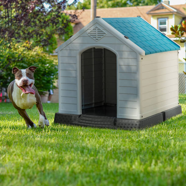 Ultra Play BarkPark Small Dog Kit | Wayfair